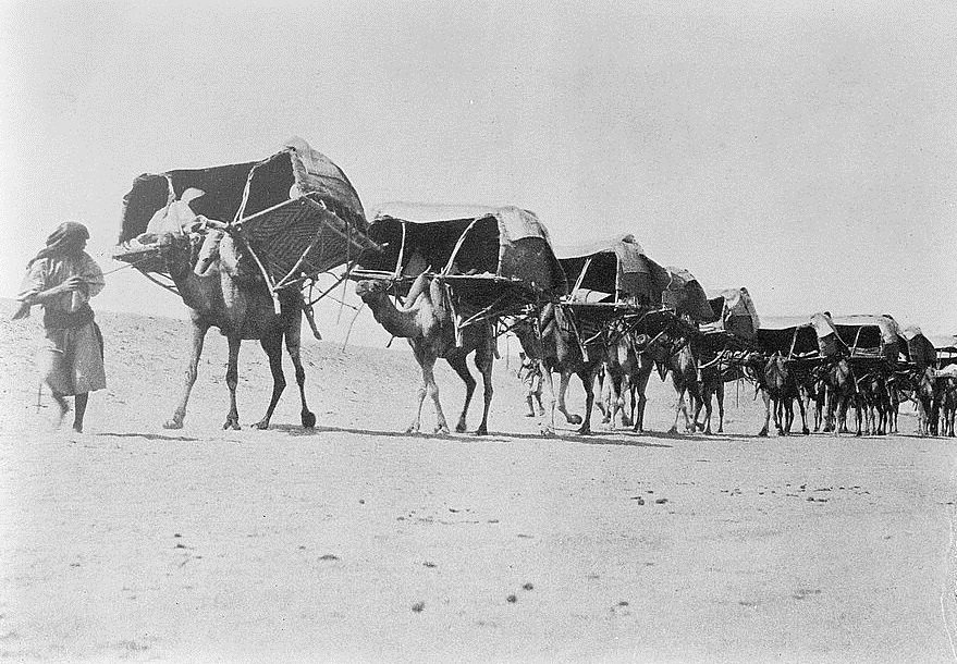 The Hajj: An Amazing Collection of 19th/20th Century Photos from the US ...