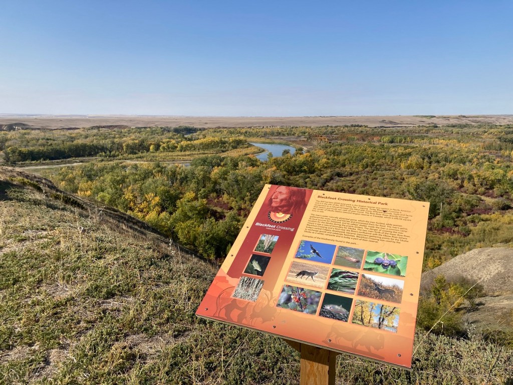 The Siksika First Nations People: An Epic Day of Celebration and ...