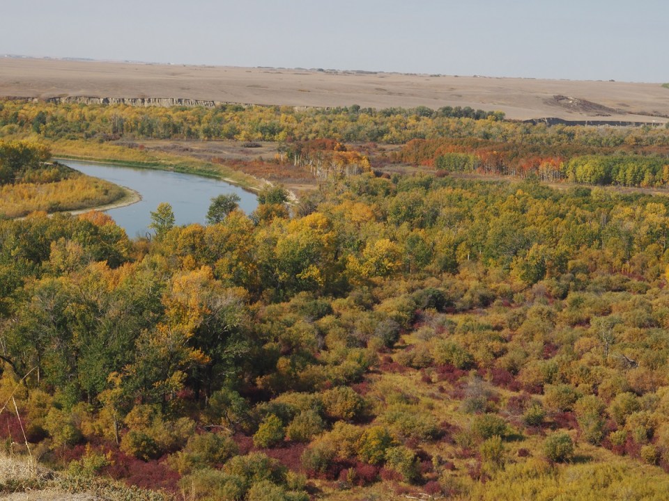 The Siksika First Nations People: An Epic Day of Celebration and ...