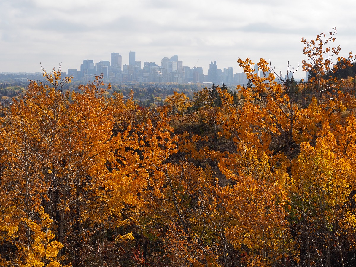 A Beautiful Fall Day in Calgary’s Edworthy Park | Simergphotos