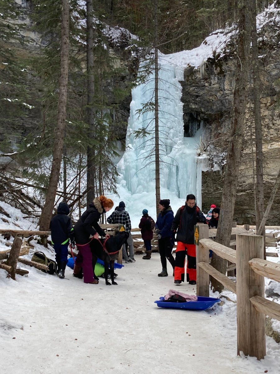 Photographs: A Beautiful Winter Hike to Troll Falls in Kananaskis ...