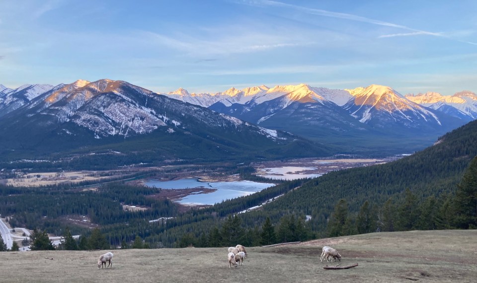 Beautiful Alberta: A Selection of 2023/24 Winter and Spring Photographs ...