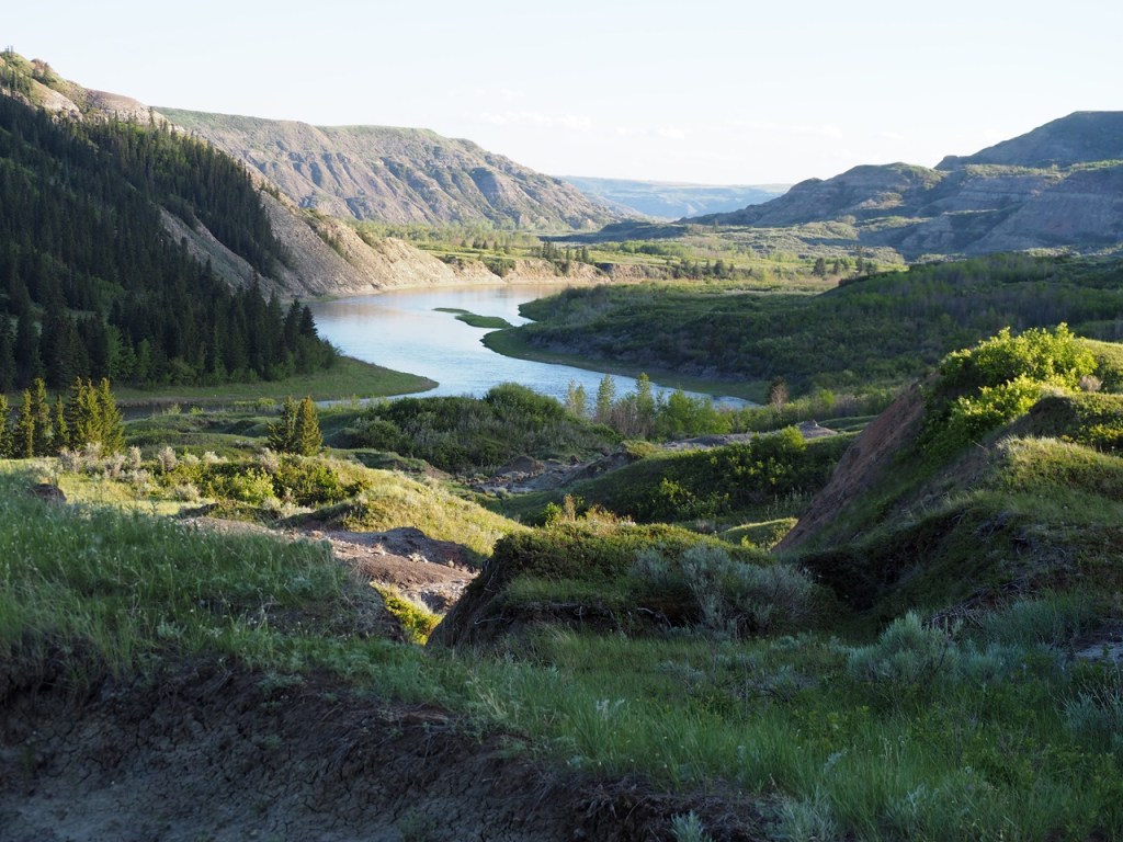 ICYMI! The Dry Island Buffalo Jump Provincial Park, Trochu Arboretum ...